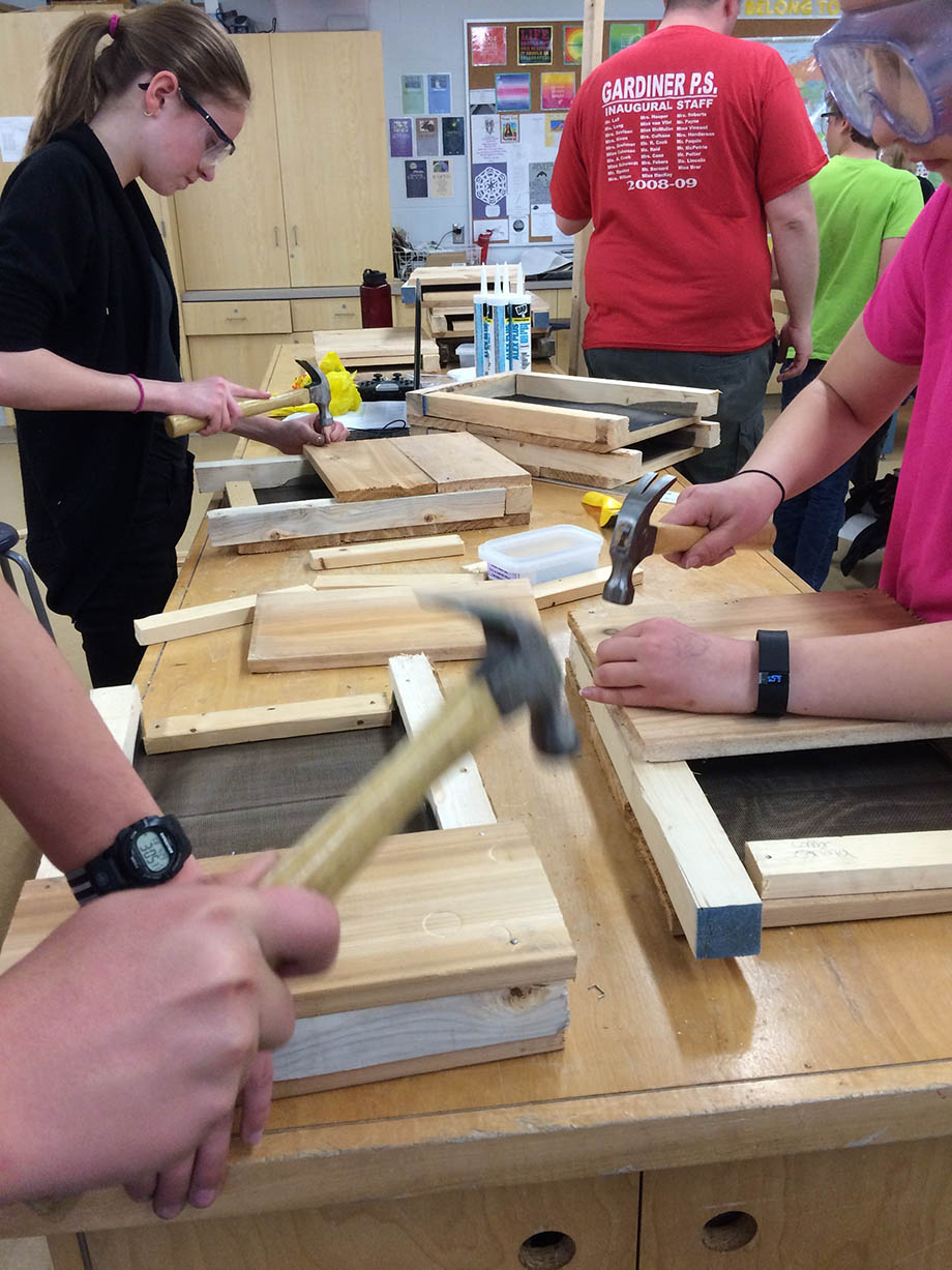 Go Wild Grants Primary School Activity | WWF.CA