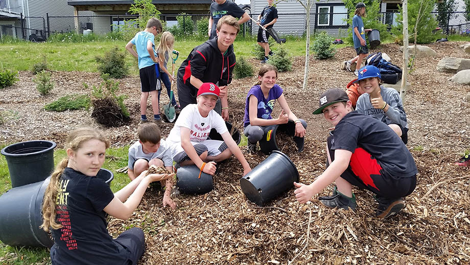 Go Wild Grants Primary School Activity | WWF.CA