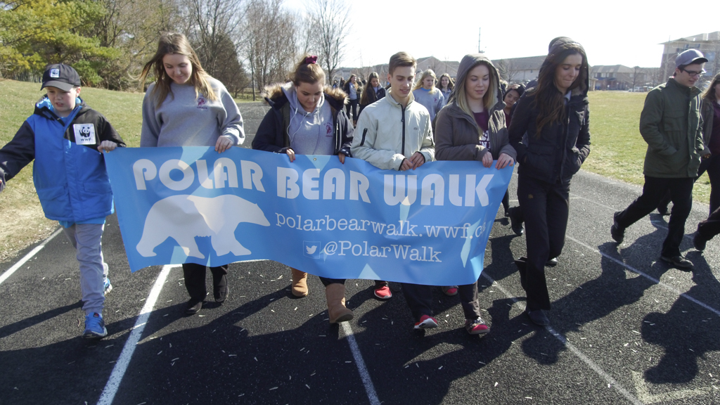 Polar Bear Walk Primary School Activity | WWF.CA